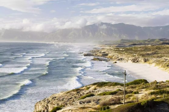 Gansbaai, South Africa: The Complete Guide | Cape Whale Coast