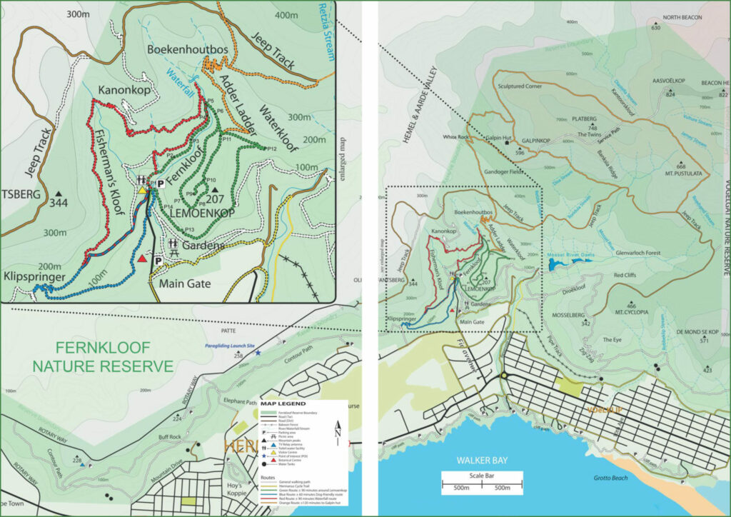 Fernkloof Nature Reserve - Whalecoast