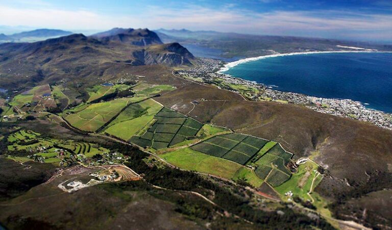 Hermanus Wine Route - Whalecoast