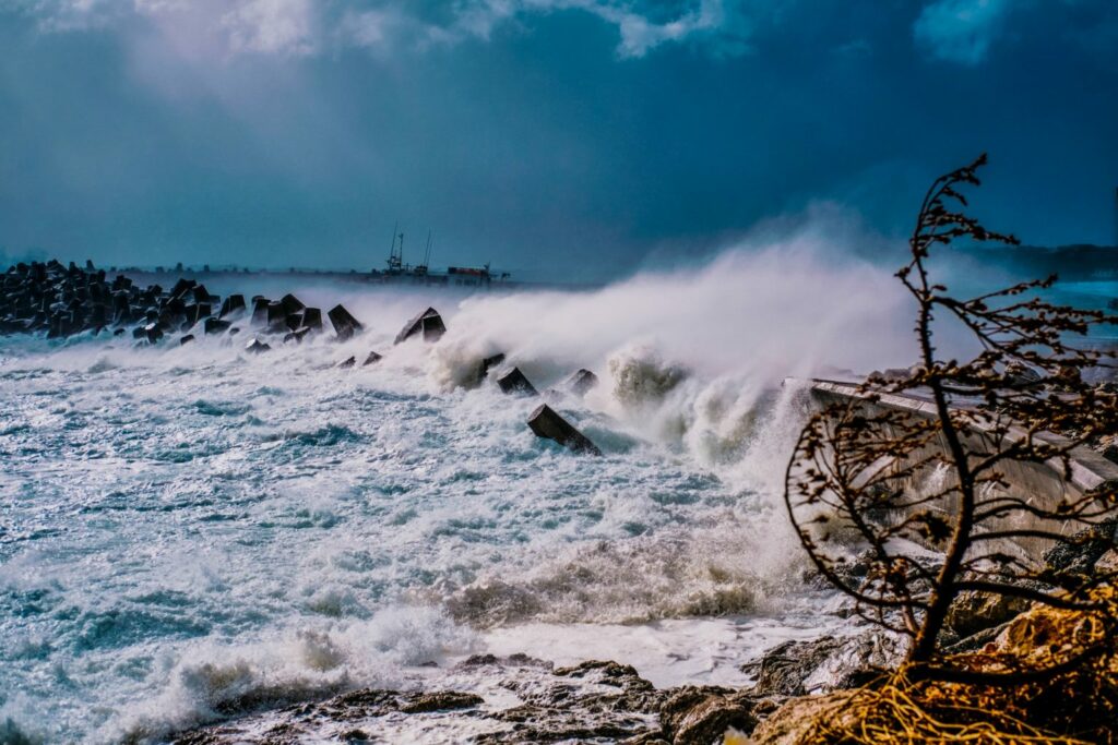 Gansbaai & Kleinbaai Harbours - Whalecoast